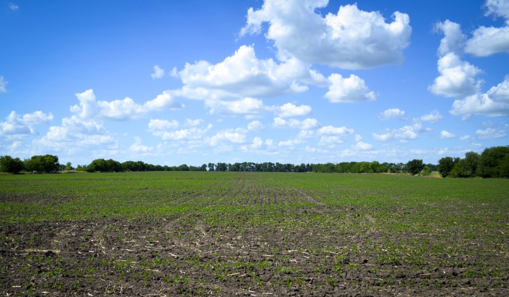 Lyon 40 | Midwest Land Group