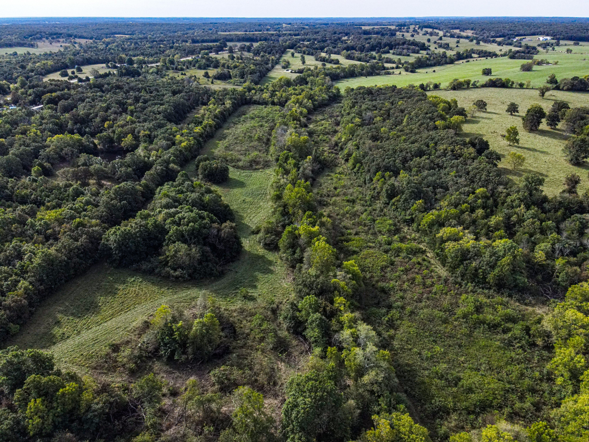 Dallas 64 - Midwest Land Group