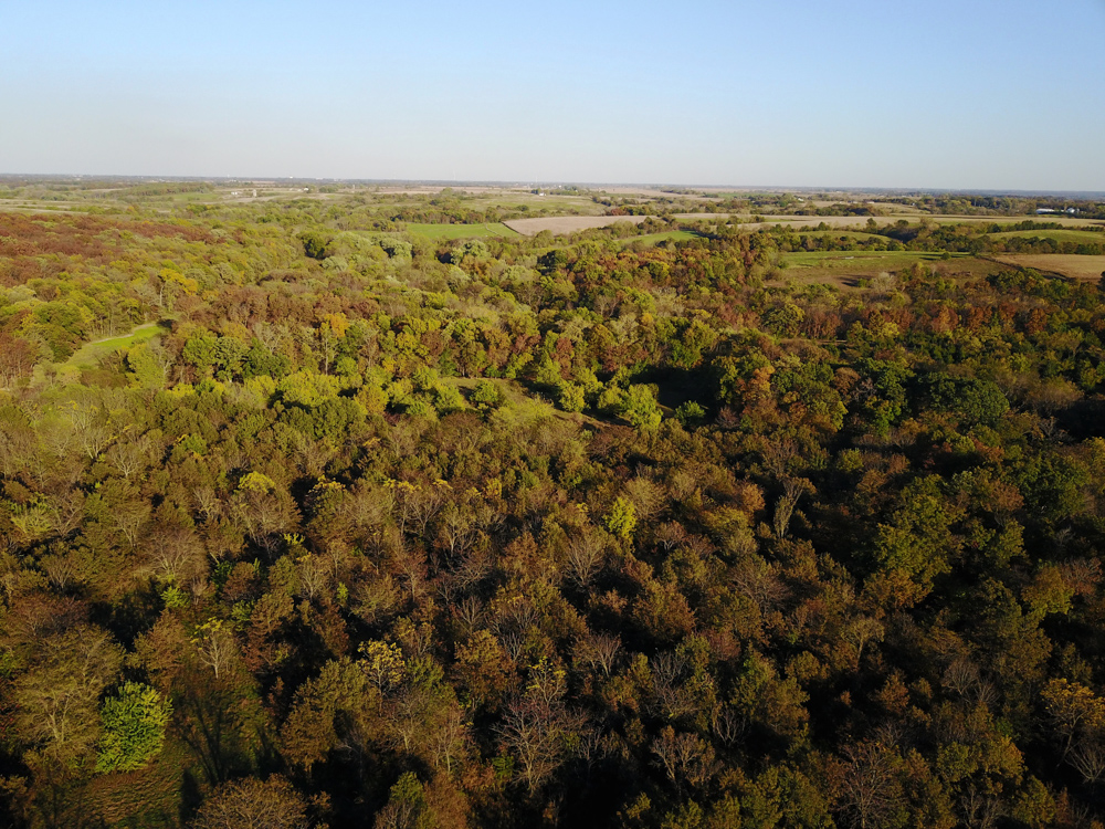 Appanoose 40 - Midwest Land Group