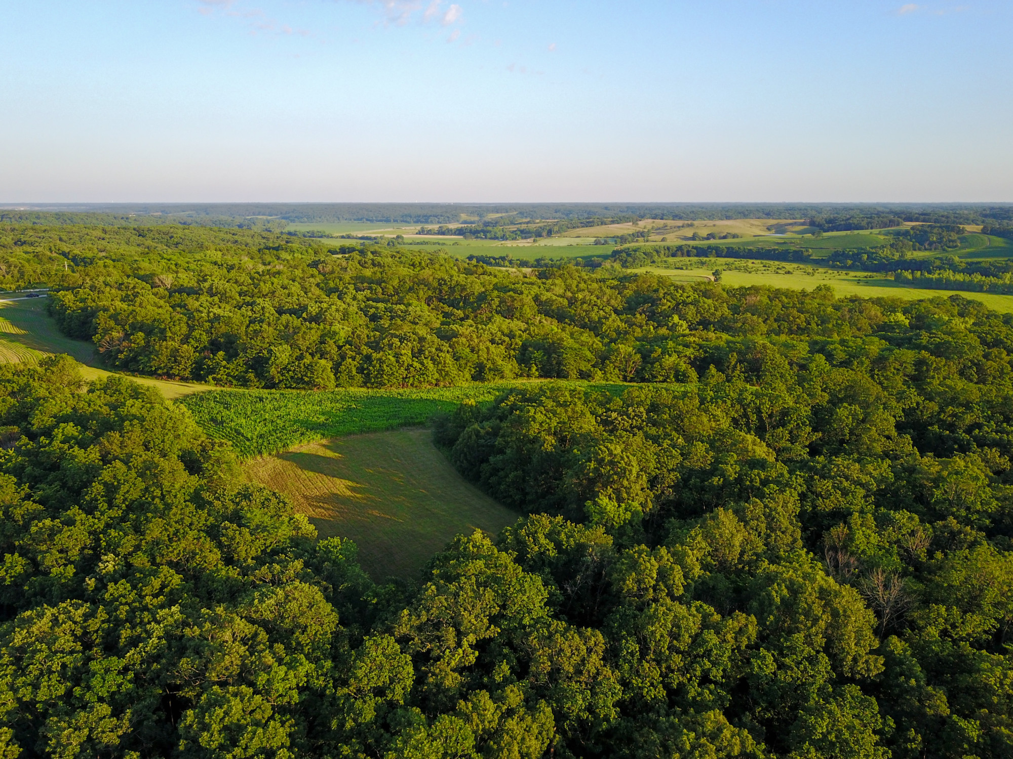 Appanoose 29 - Midwest Land Group