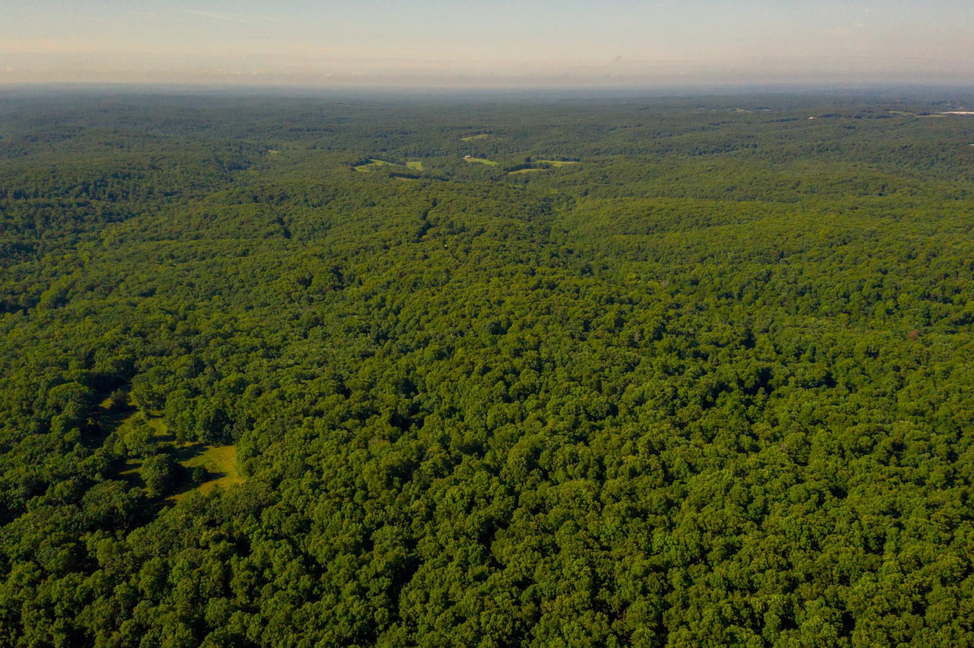 Benton 40 - Midwest Land Group