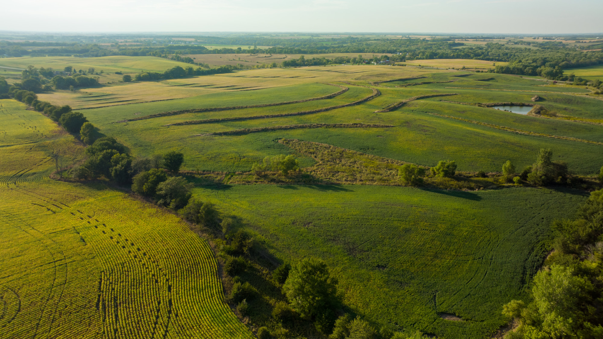 Lucas 71 - Midwest Land Group