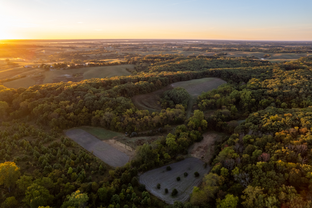 Appanoose 111 - Midwest Land Group