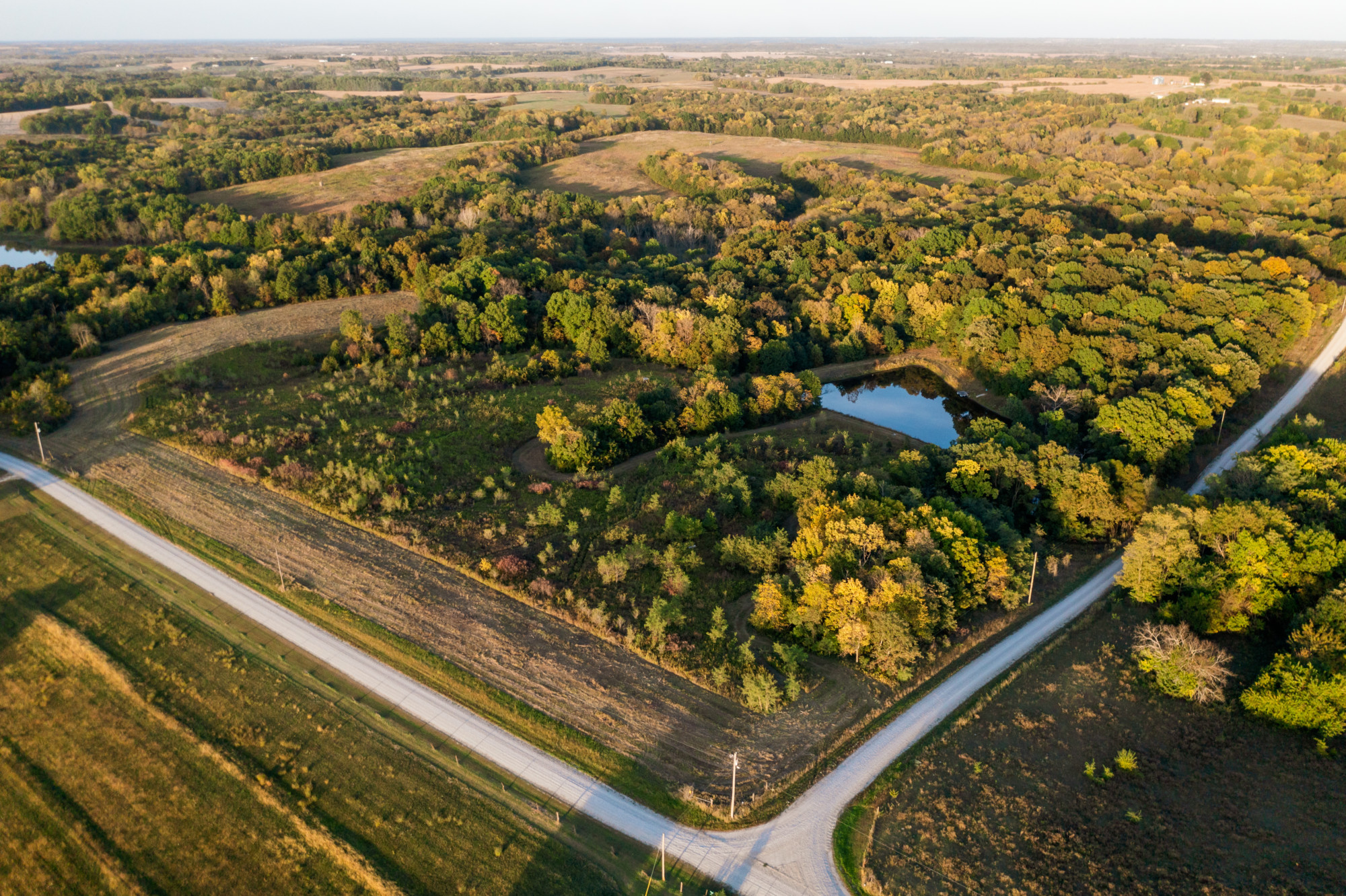 DeKalb 40 - Midwest Land Group