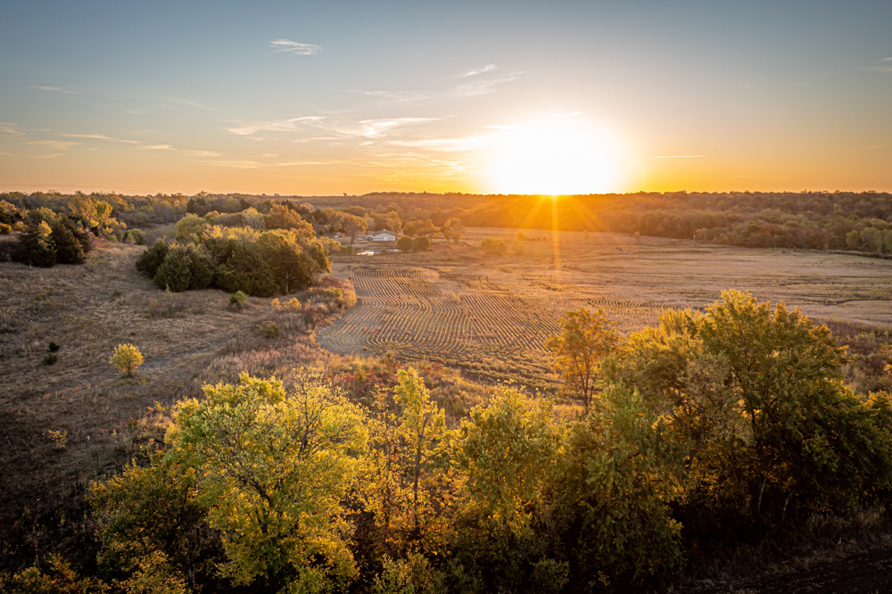 Wilson 317 - Midwest Land Group