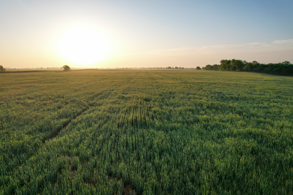 Grant 120 - Midwest Land Group