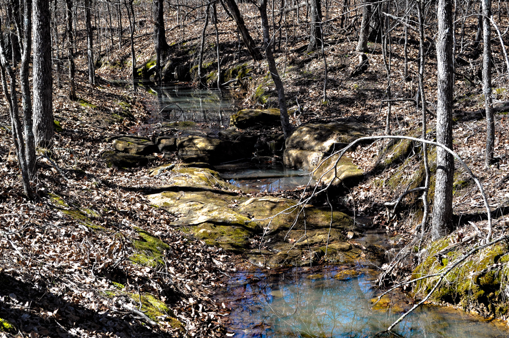 Seminole 80 - Midwest Land Group