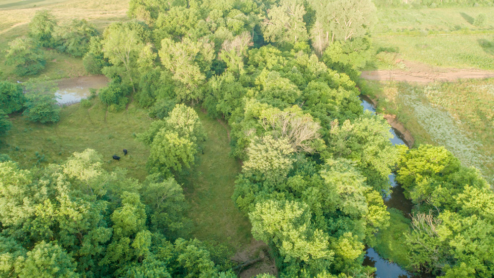 Madison 14 - Midwest Land Group