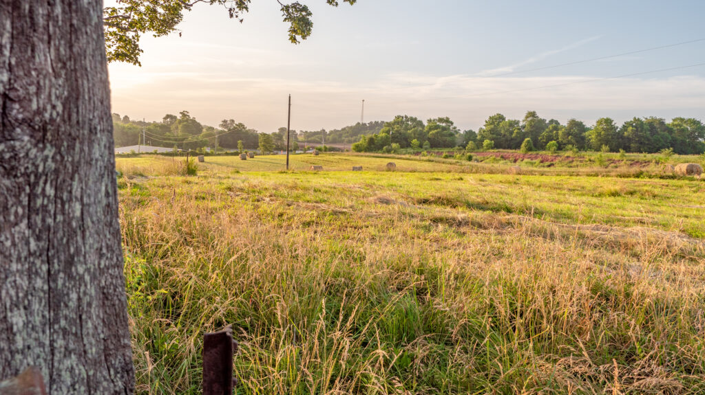 Madison 14 - Midwest Land Group