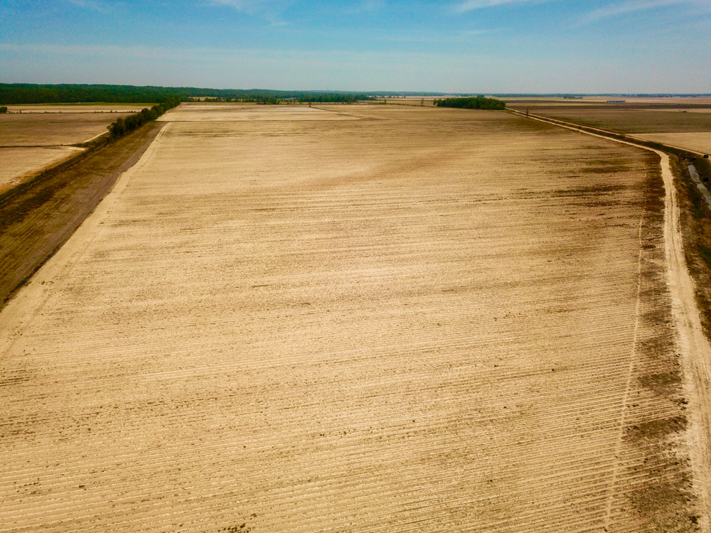 Clay 112 - Midwest Land Group