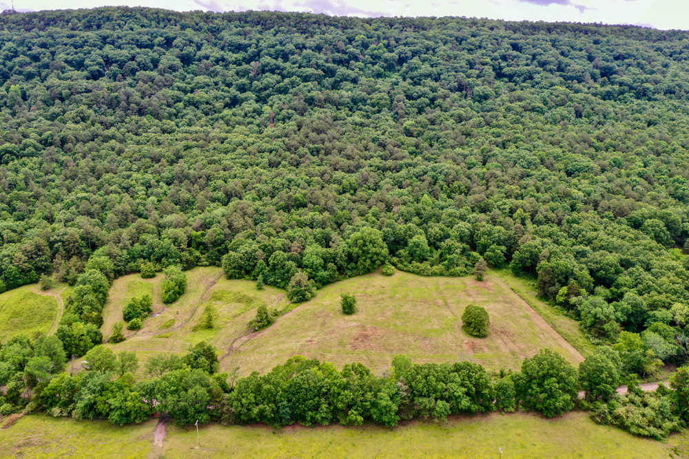 Logan 20 - Midwest Land Group