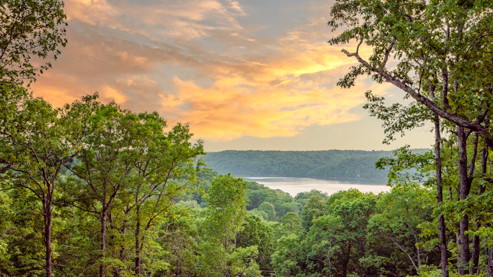 Morgan 25 - Midwest Land Group