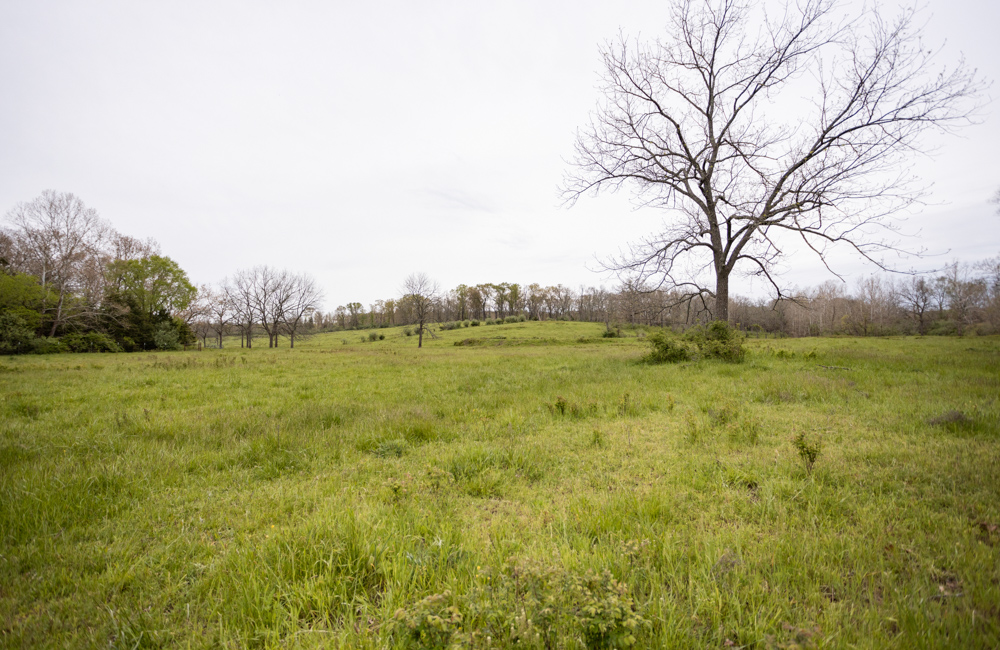 Texas 69 - Midwest Land Group