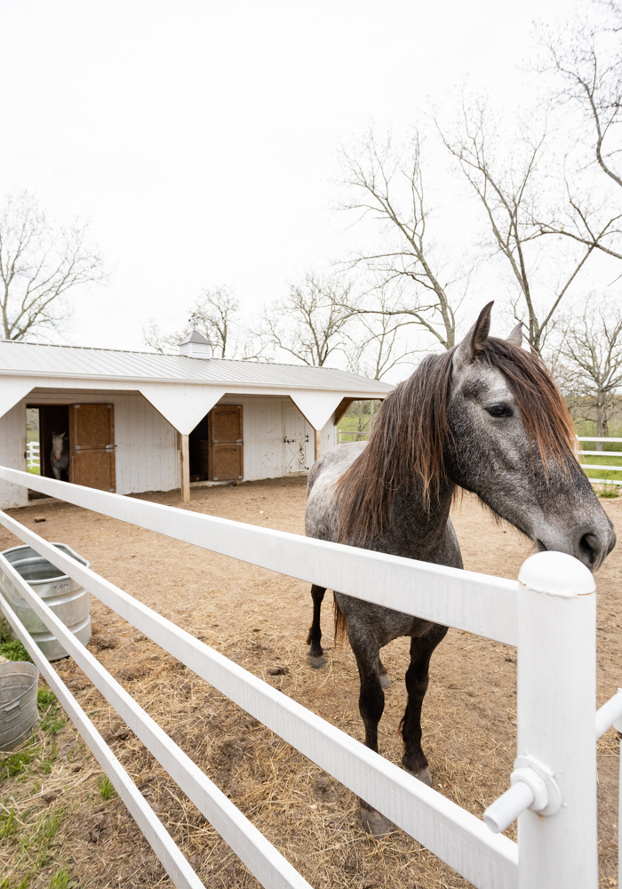 Texas 69 - Midwest Land Group