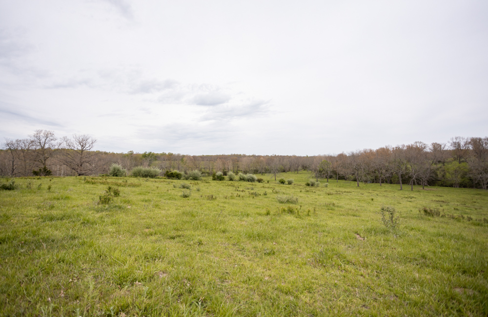 Texas 69 - Midwest Land Group