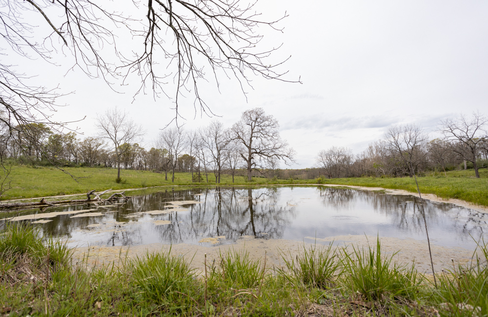 Texas 69 - Midwest Land Group