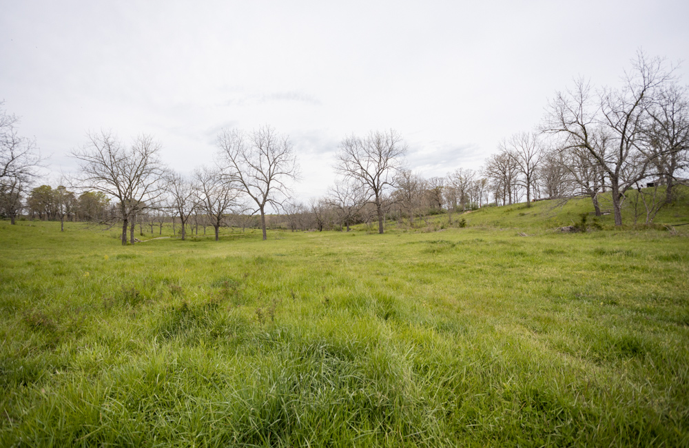 Texas 69 - Midwest Land Group