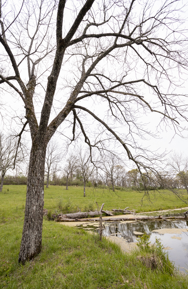 Texas 69 - Midwest Land Group