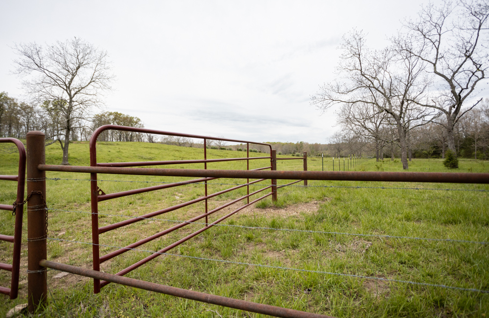 Texas 69 - Midwest Land Group