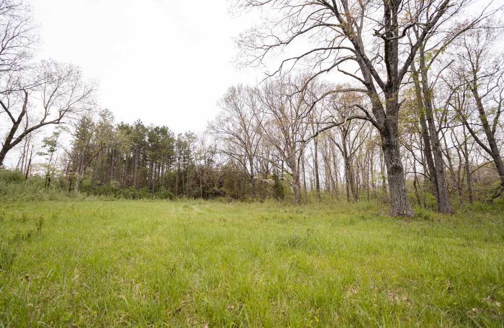 Texas 69 - Midwest Land Group