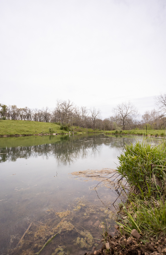 Texas 69 - Midwest Land Group