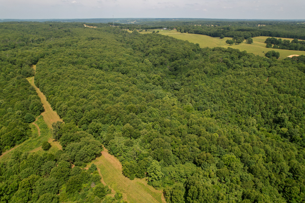 Barry 49.62 - Midwest Land Group