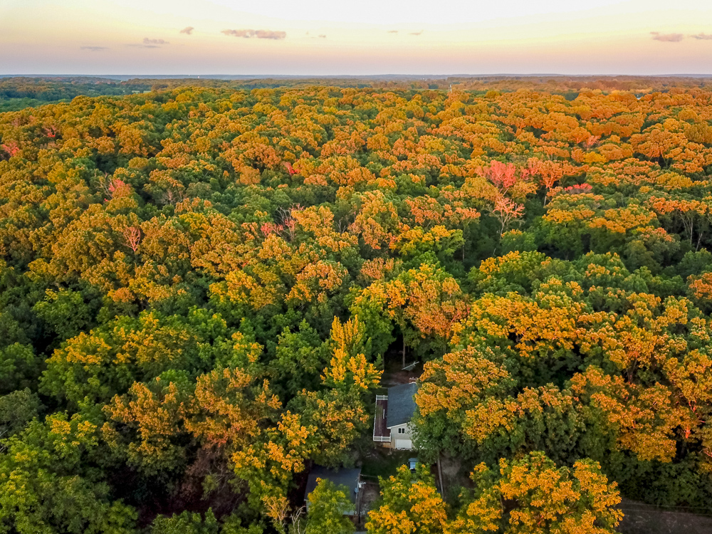 Cedar 10 - Midwest Land Group