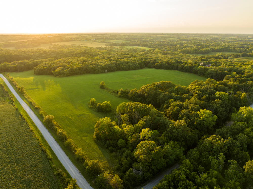 Clinton 67 - Midwest Land Group