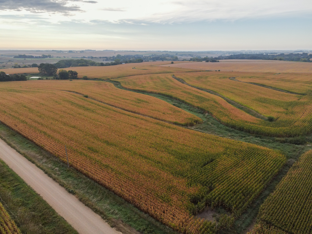 Cherokee 82.5 | Midwest Land Group