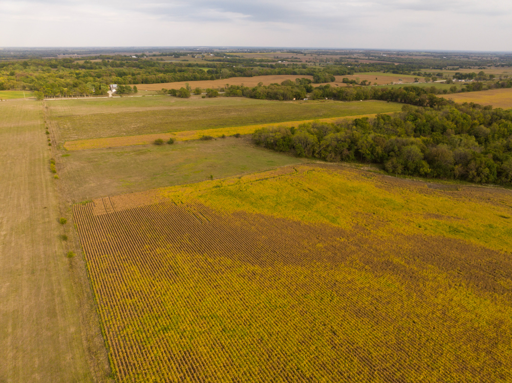 Douglas 50 - Midwest Land Group