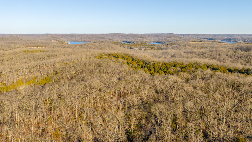 Camden 28 - Tract 4D - Midwest Land Group