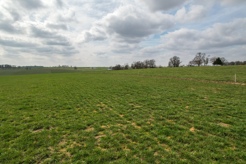 Barry 20 - Midwest Land Group