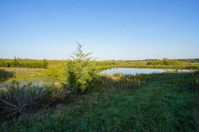 Union 31 | Midwest Land Group
