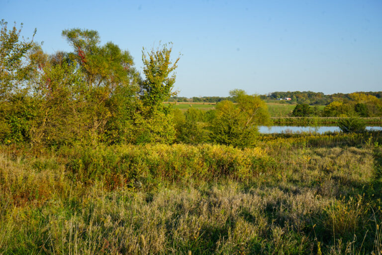 Union 31 | Midwest Land Group