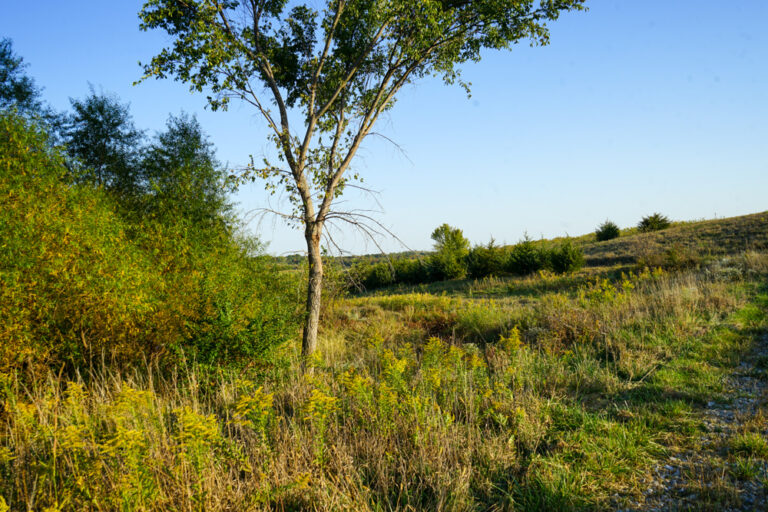 Union 31 | Midwest Land Group