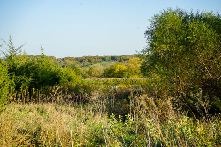 Union 31 | Midwest Land Group