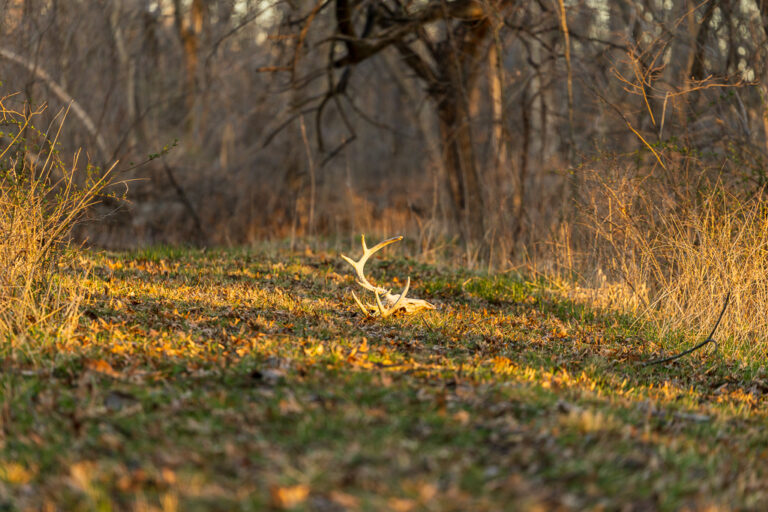 Cass 47 | Midwest Land Group