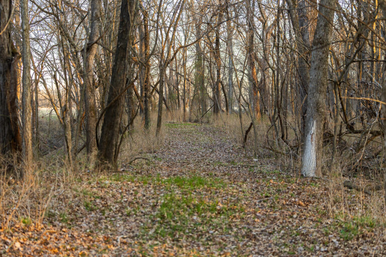 Cass 47 | Midwest Land Group