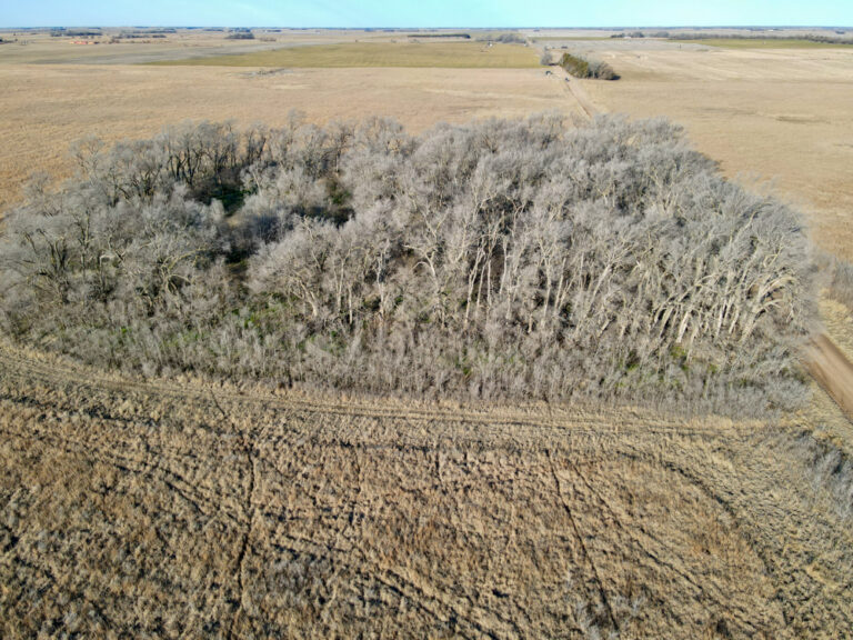 Pratt 177 | Midwest Land Group