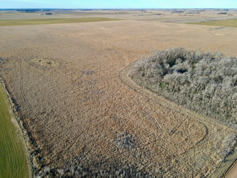 Pratt 177 | Midwest Land Group