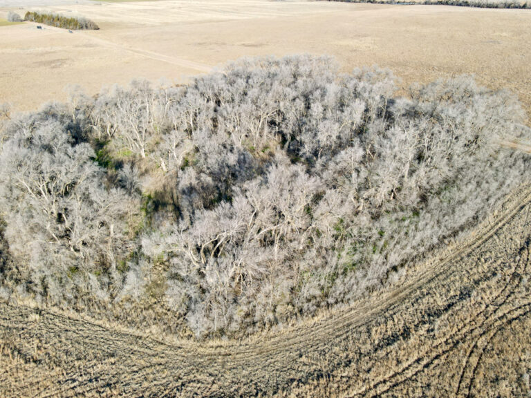 Pratt 177 | Midwest Land Group