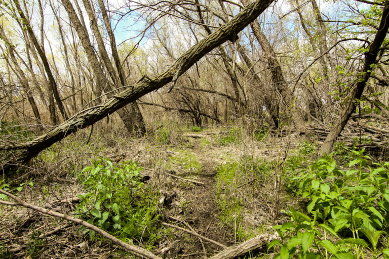 Gage 18.7 | Midwest Land Group