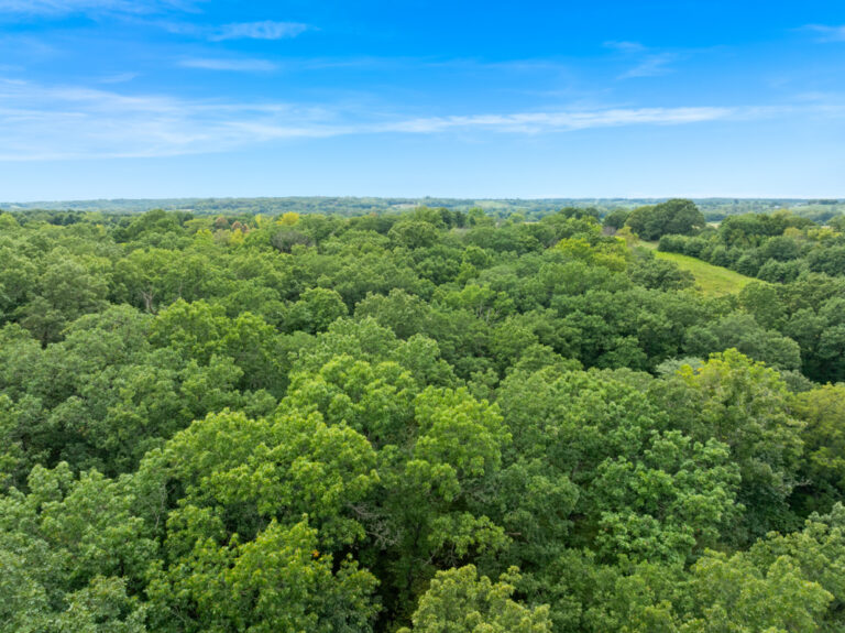 Sullivan 42 | Midwest Land Group