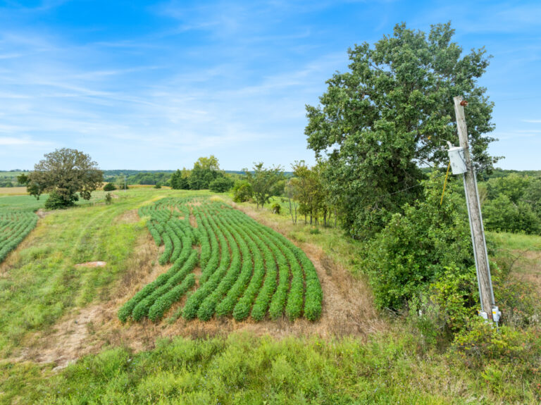 Sullivan 42 | Midwest Land Group