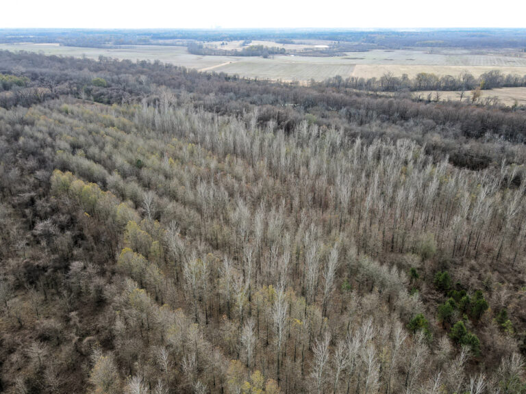 Pulaski 278.33 | Midwest Land Group