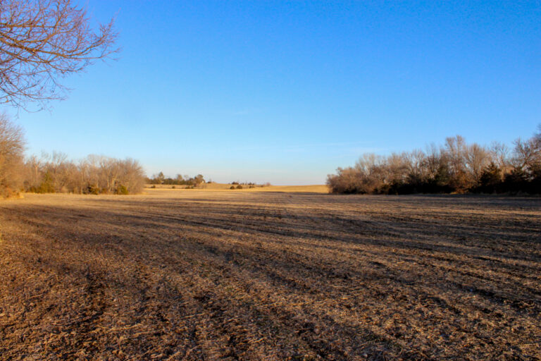 Saunders 95.53 | Midwest Land Group