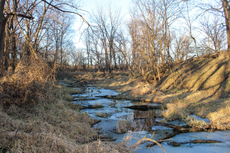 Saunders 95.53 | Midwest Land Group