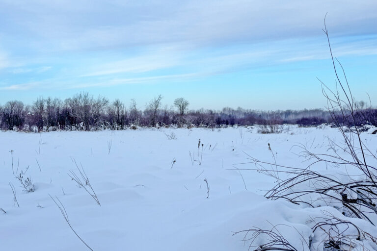 Wadena 80 | Midwest Land Group