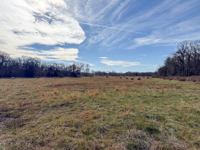 Rogers 46 | Midwest Land Group