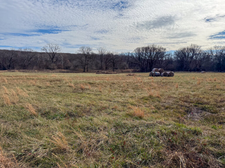 Rogers 46 | Midwest Land Group